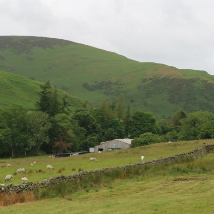 Jon Fell - Ernest Cook Trust, Francis Stone Apprentice | LANSS